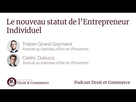 Le nouveau statut de l’Entrepreneur Individuel