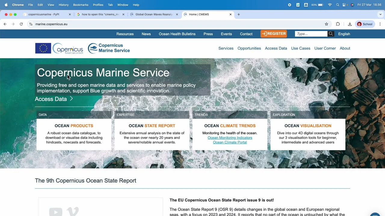How to Download Significant Wave Height Data from Copernicus (Step-by-Step Tutorial)