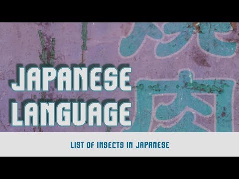 Japanese Language - | List of Insects in Japanese |