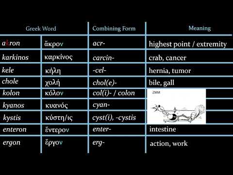 Medical Greek and Latin, Episode 10: More Root Words