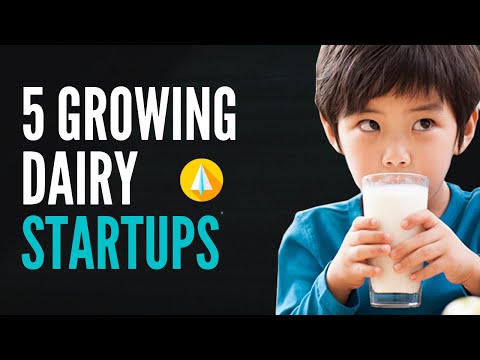 Top 5 Growing Dairy Startups in India