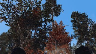 Fallout 4 Gameplay 2022 With LUXORS ENB And Pine Trees Forest at ...