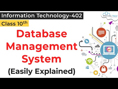 Database Management System Class 10 IT | Concepts of DBMS IT 402 Class 10 | DBMS in IT Class 10