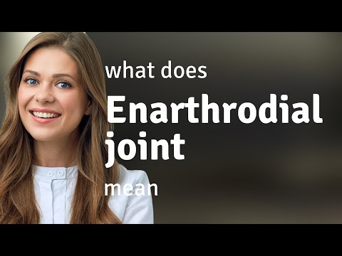 Enarthrodial joint — ENARTHRODIAL JOINT meaning