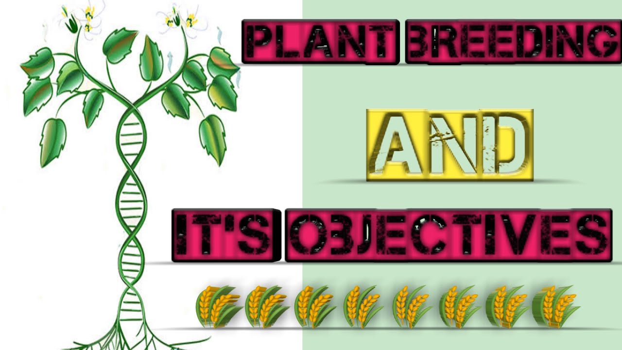 Plant breeding and it's objectives