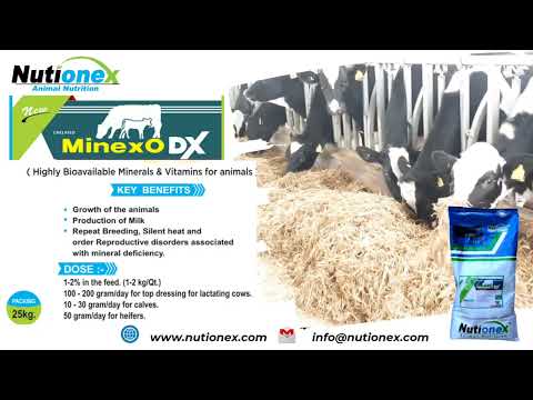 Animal Feed Supplement - Animal Nutrition Supplements Latest Price ...