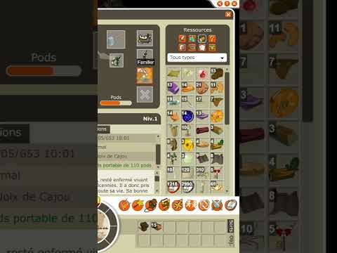 [DOFUS] COMMENT MONTER SON FAMILIER DOFUS RÉTRO TEMPORIS 2