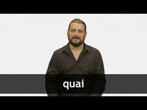 English Translation of “QUAI” | Collins French-English Dictionary
