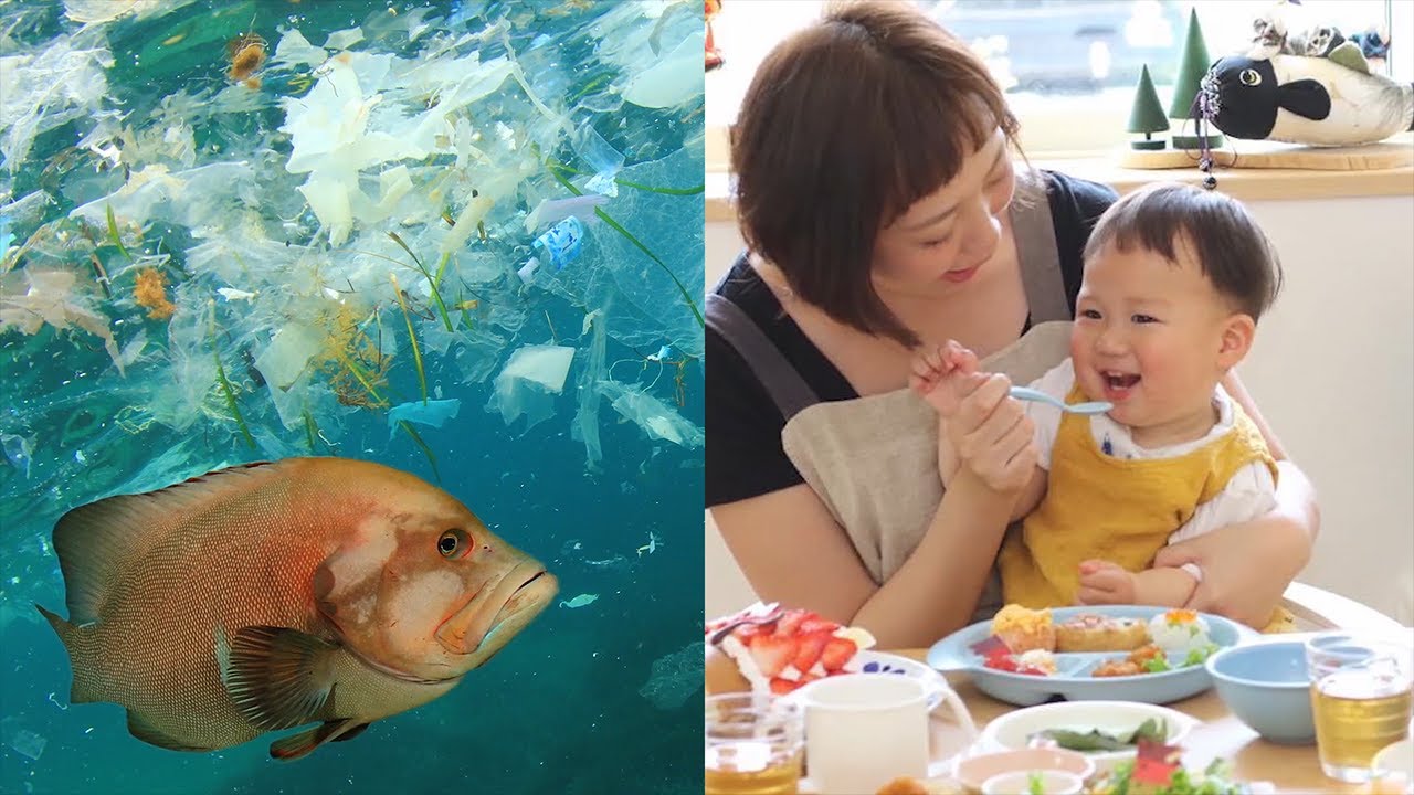 Environmentally-Friendly Bioplastics