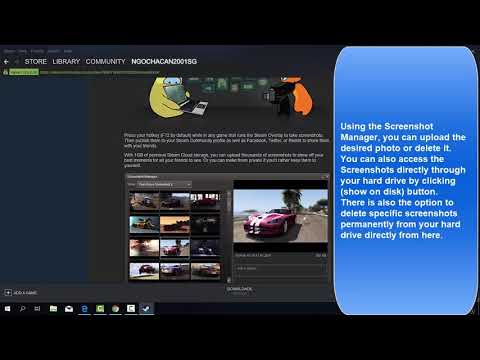 Where is The Steam Screenshot Folder in Steam? How To Access Steam Screenshot Folder