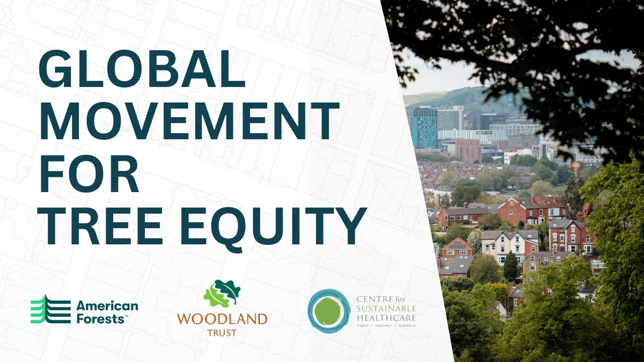 The Global Movement for Tree Equity