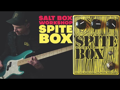 Damnation Audio Spite Box | Reverb