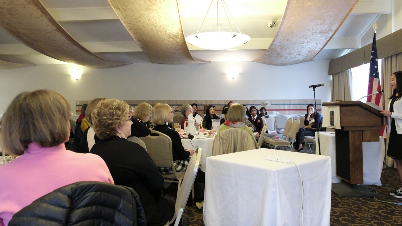 2017 DAR District Winner