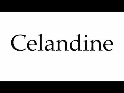 How to Pronounce Celandine