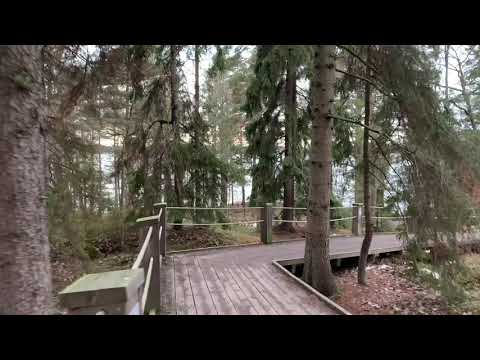 Stockholm Walks: the forest at Artipelag Art center