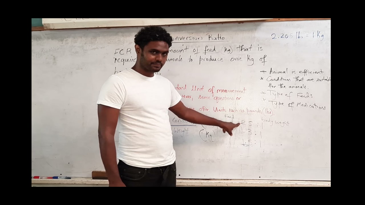 Feed  Conversion Ratio (FCR) explained. Definition, importance, examples and calculations.