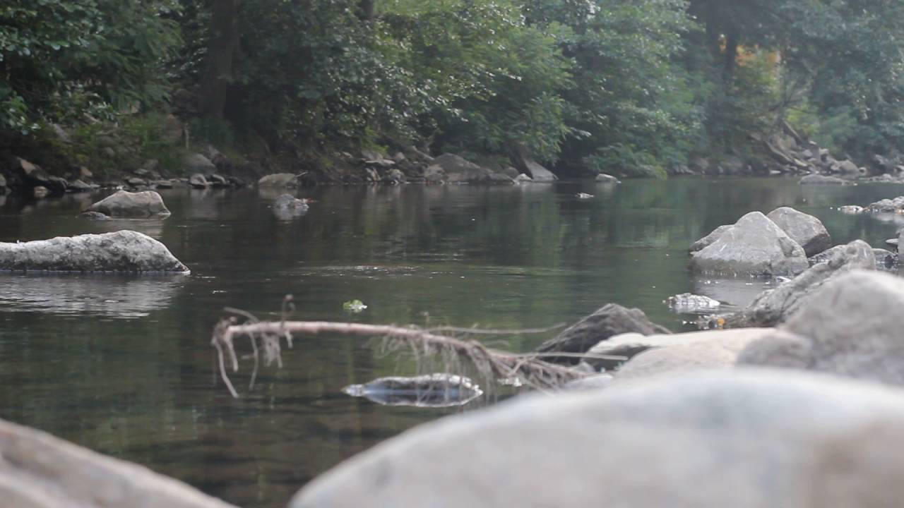 Mountain Stream HD Stock Video Footage