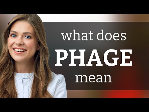 Phage — meaning of PHAGE