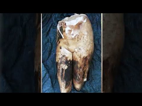 This Ancient Find Has Spread All Over The World