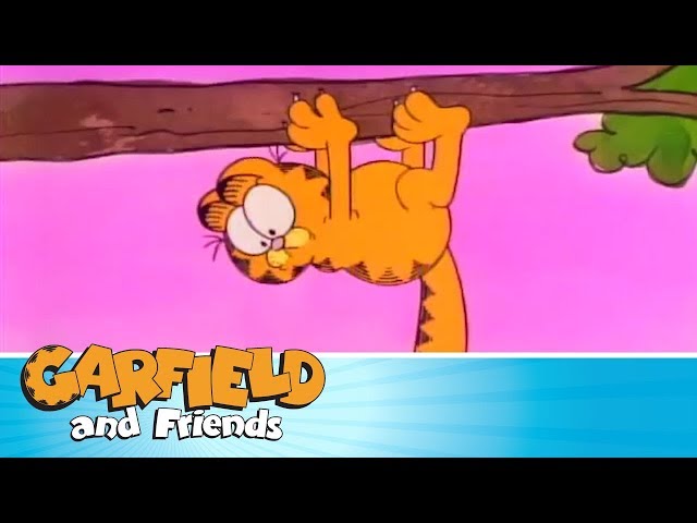What type of cat is Garfield? Beloved comic character's origins revealed