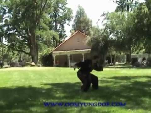 Oom Yung Doe style Tuksuli Eagle form