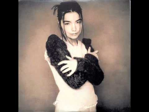 björk : human behaviour