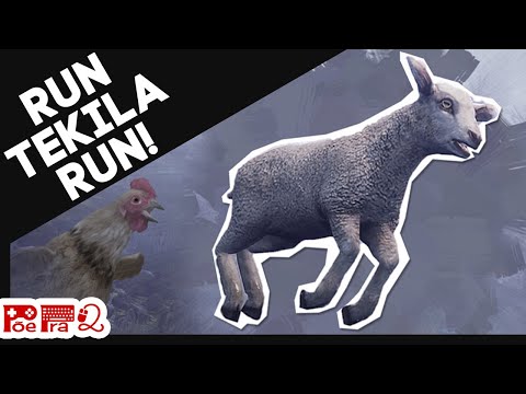 Steam Community :: Video :: Run Tekila Run! (2024) - Gameplay de ...