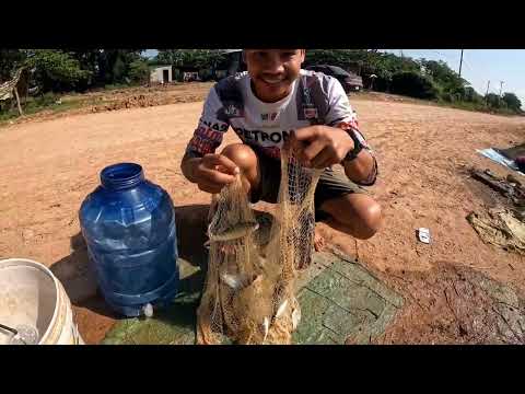 Cast Net Fishing at banan Bamttabong