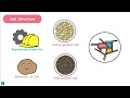 Sensitivity Of Soil - Soil Mechanics - Civil Engineering - Elementary ...