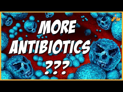 Why Your Vet Won't Give You More Antibiotics (long term risks + alternatives)