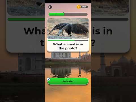 Playing trivia scapes