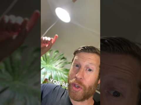 AFFORDABLE GROW LIGHT for Winter 💡