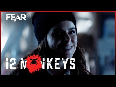 Jennifer's Hyenas | 12 Monkeys (TV Series) | Fear