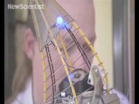 Bionic Penguins – Shoo Rayner