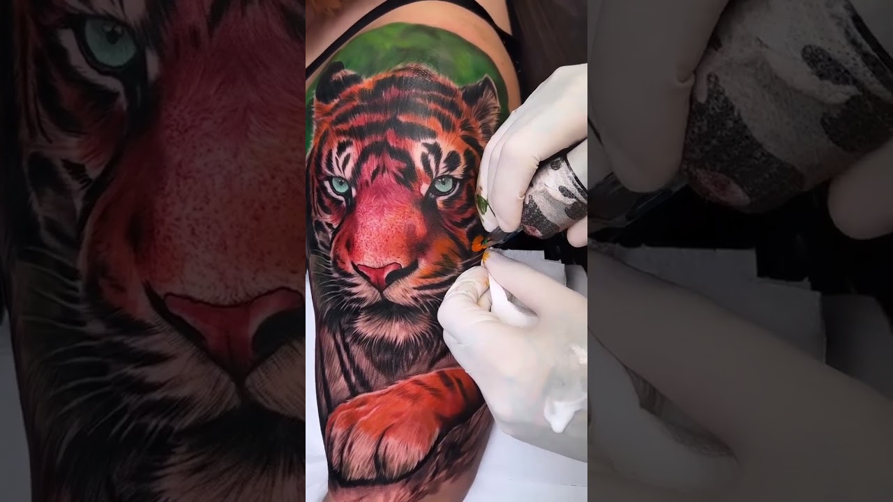 #shorts tiger tattoo process #tattoo #tattooprocess #tattoodesign #animaltattoo #tiger #animals