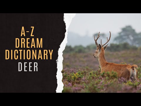 🦌Dreaming Of Deer And Its Meaning | Deer Dream Symbolism | Dream Dictionary Deer