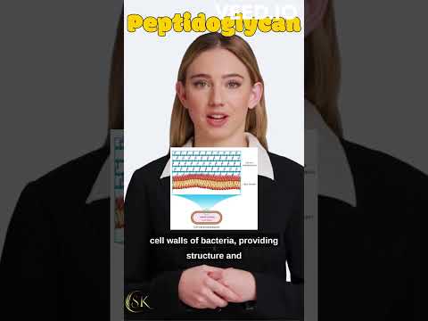 Peptidoglycan #shorts