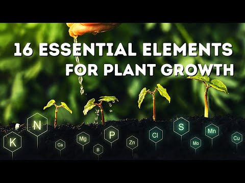 16 Essential Elements For Plant Growth || For The Benefit Of Farmers || Agri Knowledge || Learning |