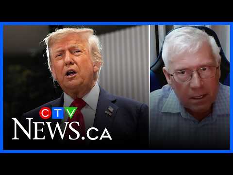 Canada's trade negotiations with the U.S. is like the ‘mouse and the elephant’ | Business analyst