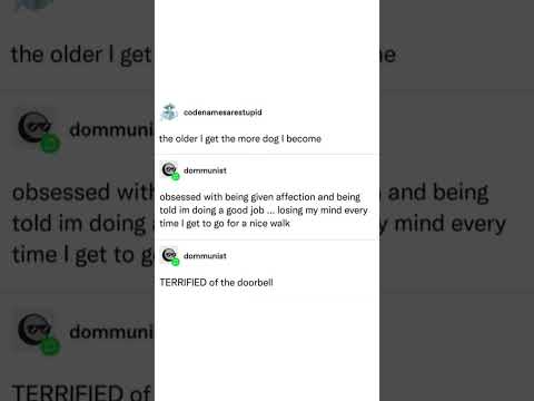 🐕🧠 “The Older I Get, The More Dog I Become