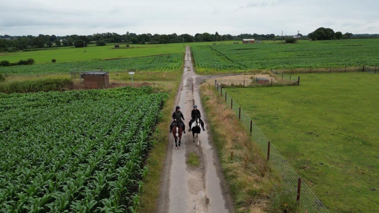 PARK FARM LIVERY YARD