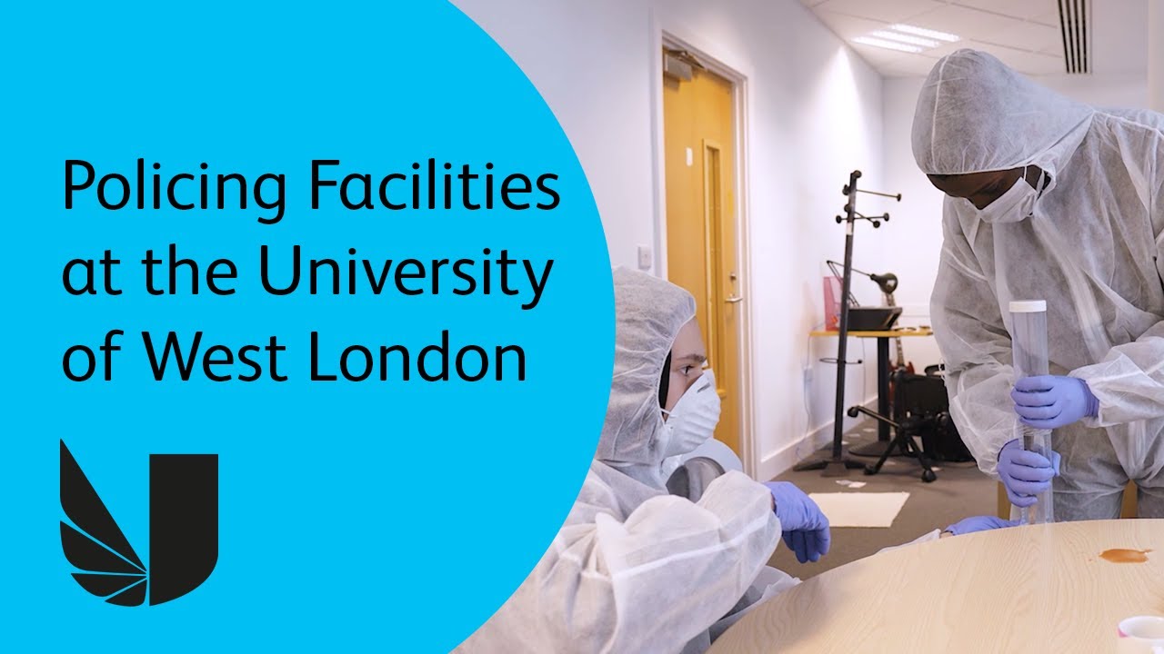 The Institute for Policing Studies (IPS)