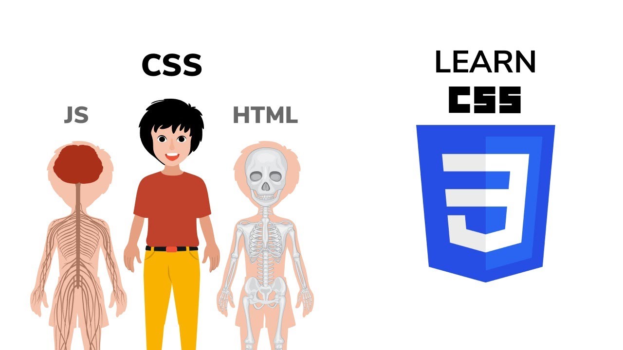 Learn CSS | Front end web development tutorial | Part 2