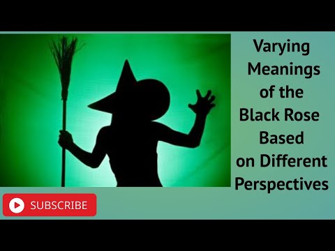 Varying Meanings of the Black Rose Based on Different Perspectives