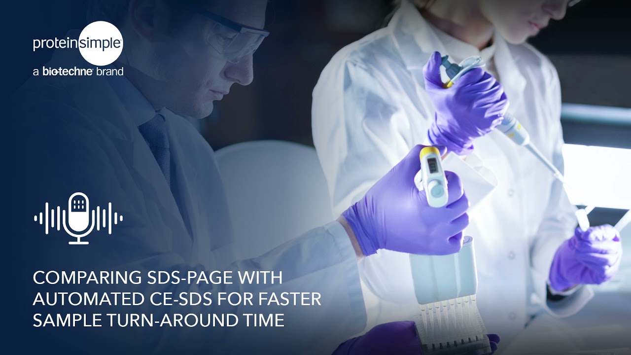 CE-SDS with iCE Platform Maurice | Bio-Techne