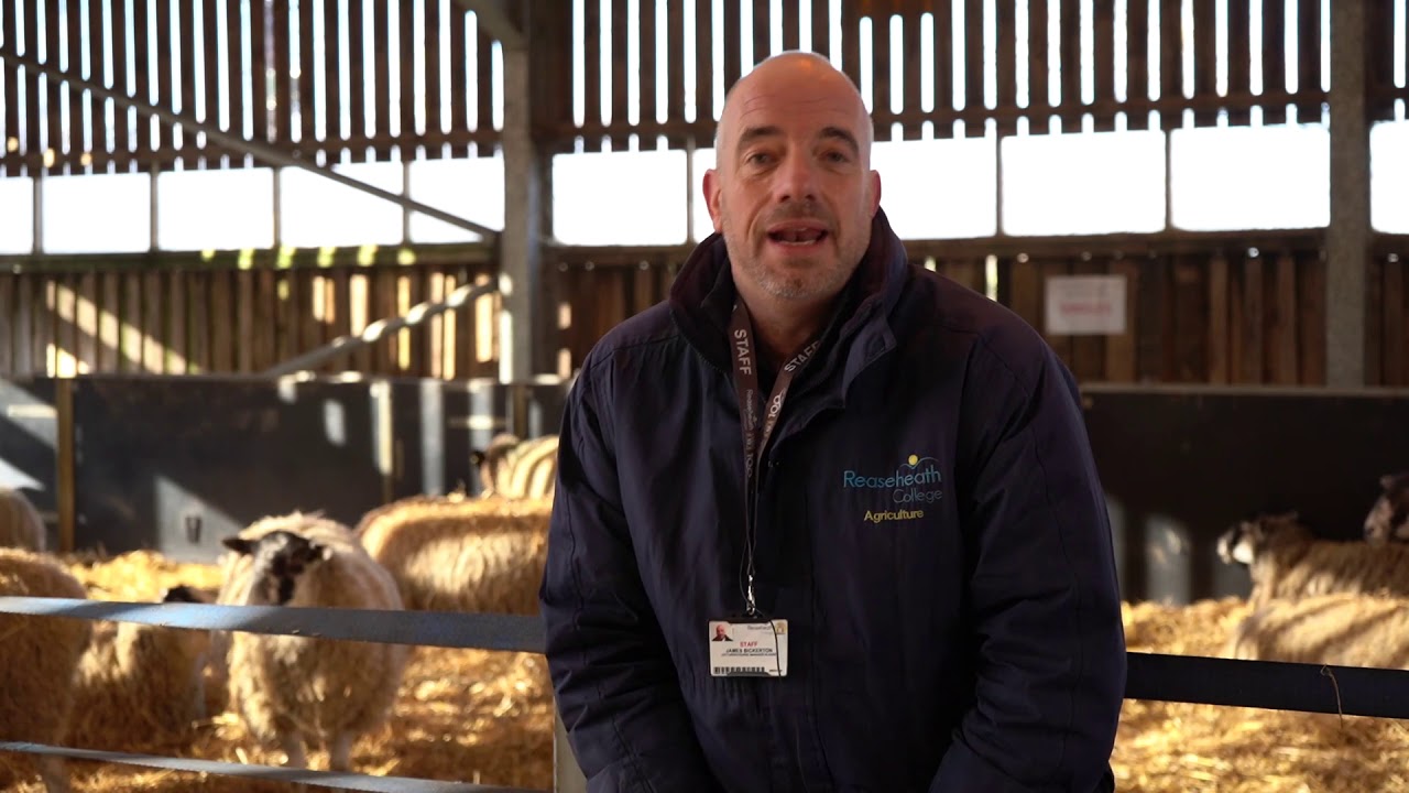 Reaseheath Lambing Bitesize: Session 1 for KS3 (Years 7-9)