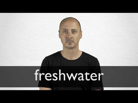 FRESHWATER definition and meaning | Collins English Dictionary