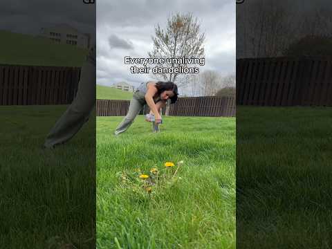 Did you know dandelions are considered a superfood!? #dandelions #planthealth