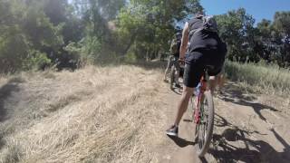 3 Best Hiking Trails in Modesto, CA - Expert Recommendations