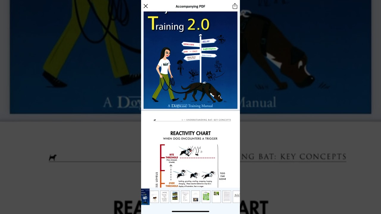 Accompanying PDF - BAT 2.0 Audiobook